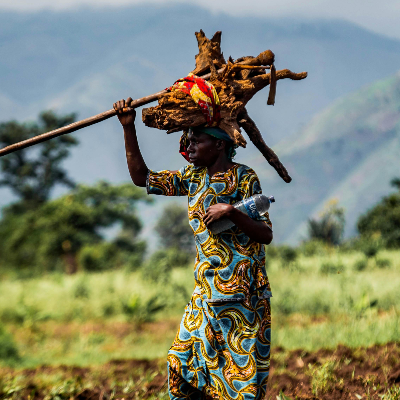 Stories of Impact: The People Behind Our Products – Forte & Company